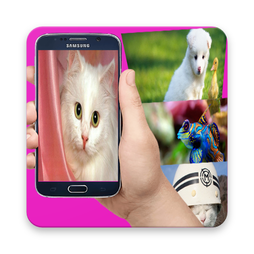 Wallpapers cute animal - App on Amazon Appstore