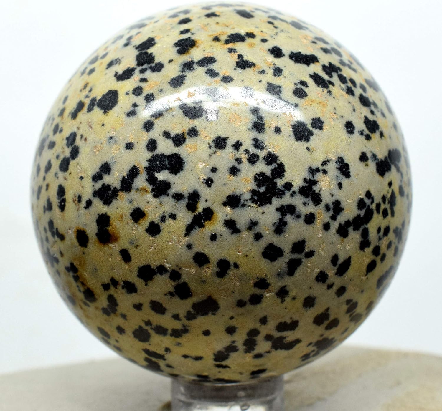 Amazon.com: 2" Dalmation Jasper Sphere Calming Animals Stone Natural ...