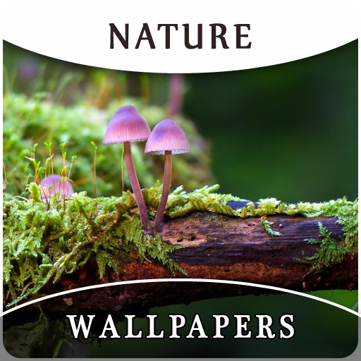 Nature Wallpapers And Background - App on Amazon Appstore