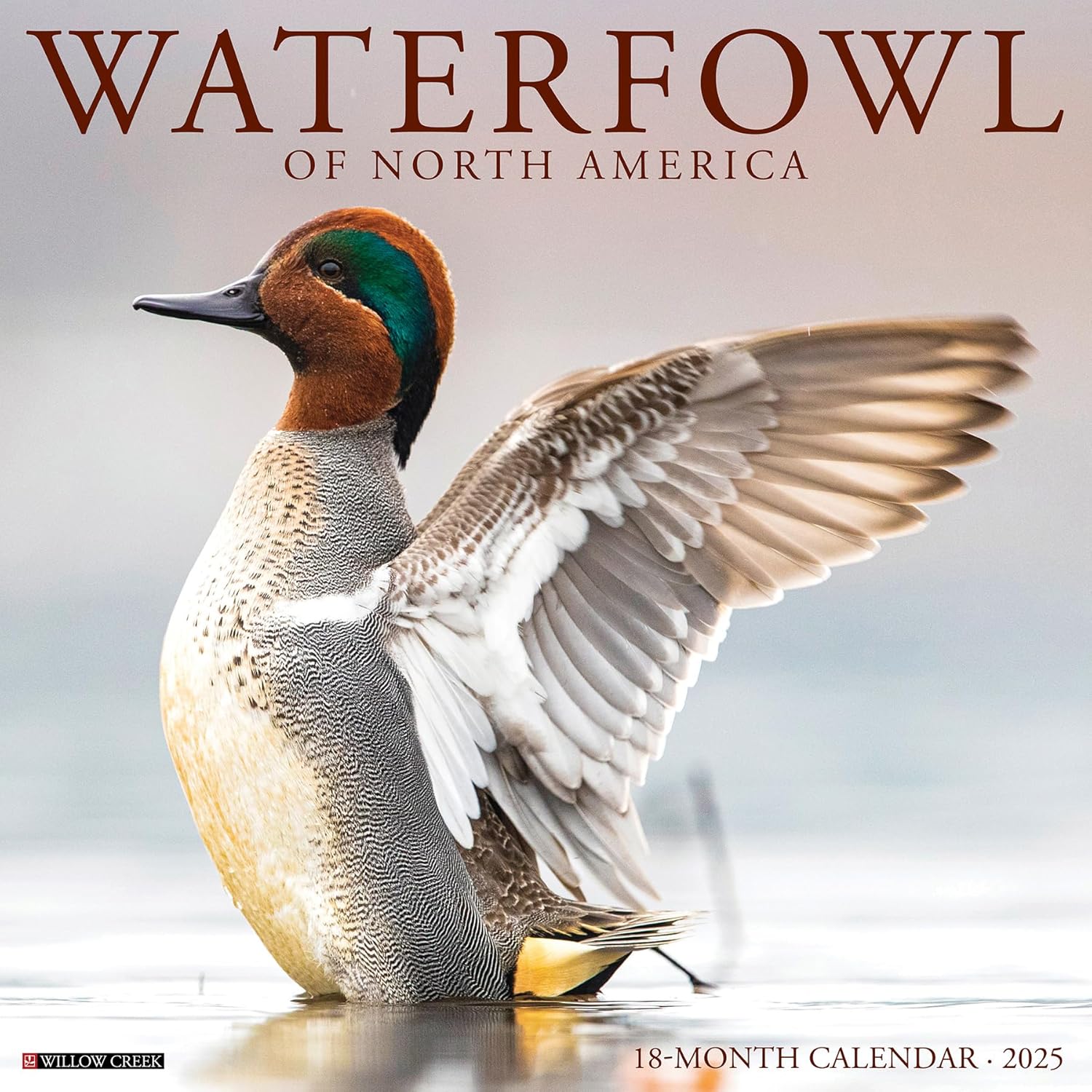 Amazon.com: Willow Creek Press Waterfowl Monthly 2025 Wall Calendar (12 ...