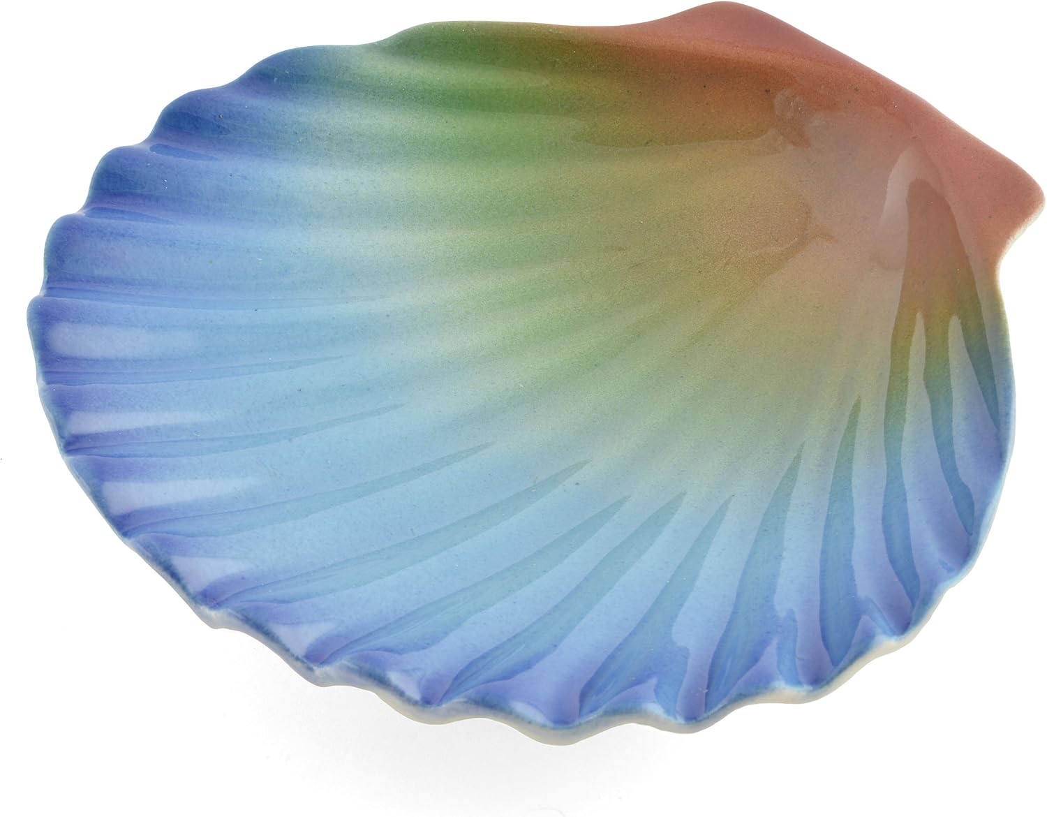 Amazon.com: Judith Stiles Designs Scallop Shell Soap Dish, Turquoise ...