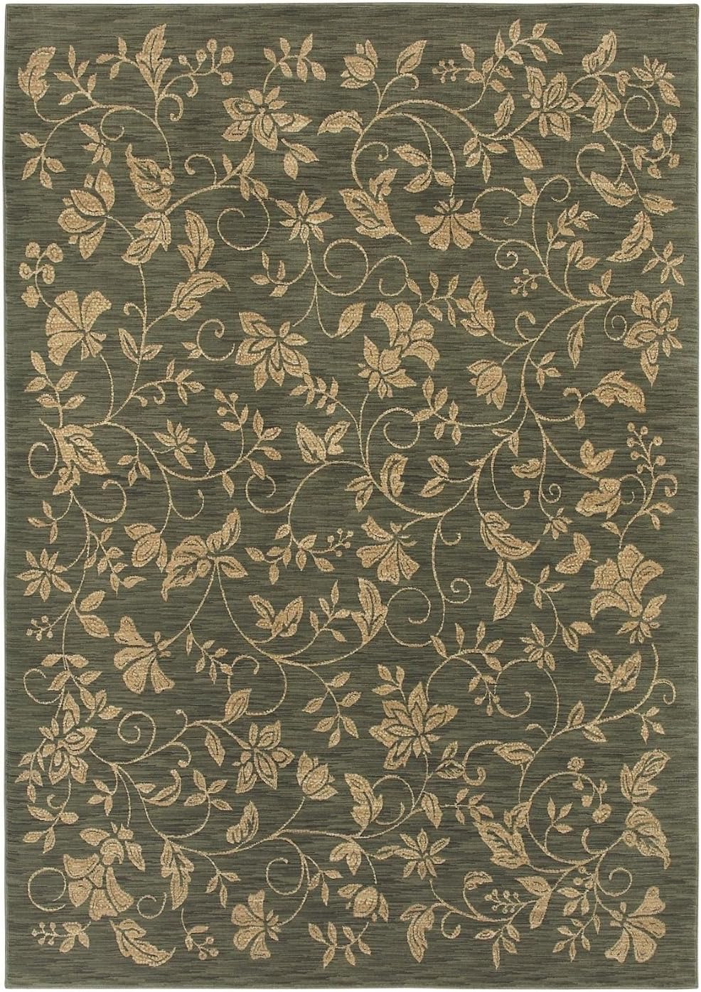 Amazon.com: Shaw Garden Vine: Area Rugs: Home & Kitchen