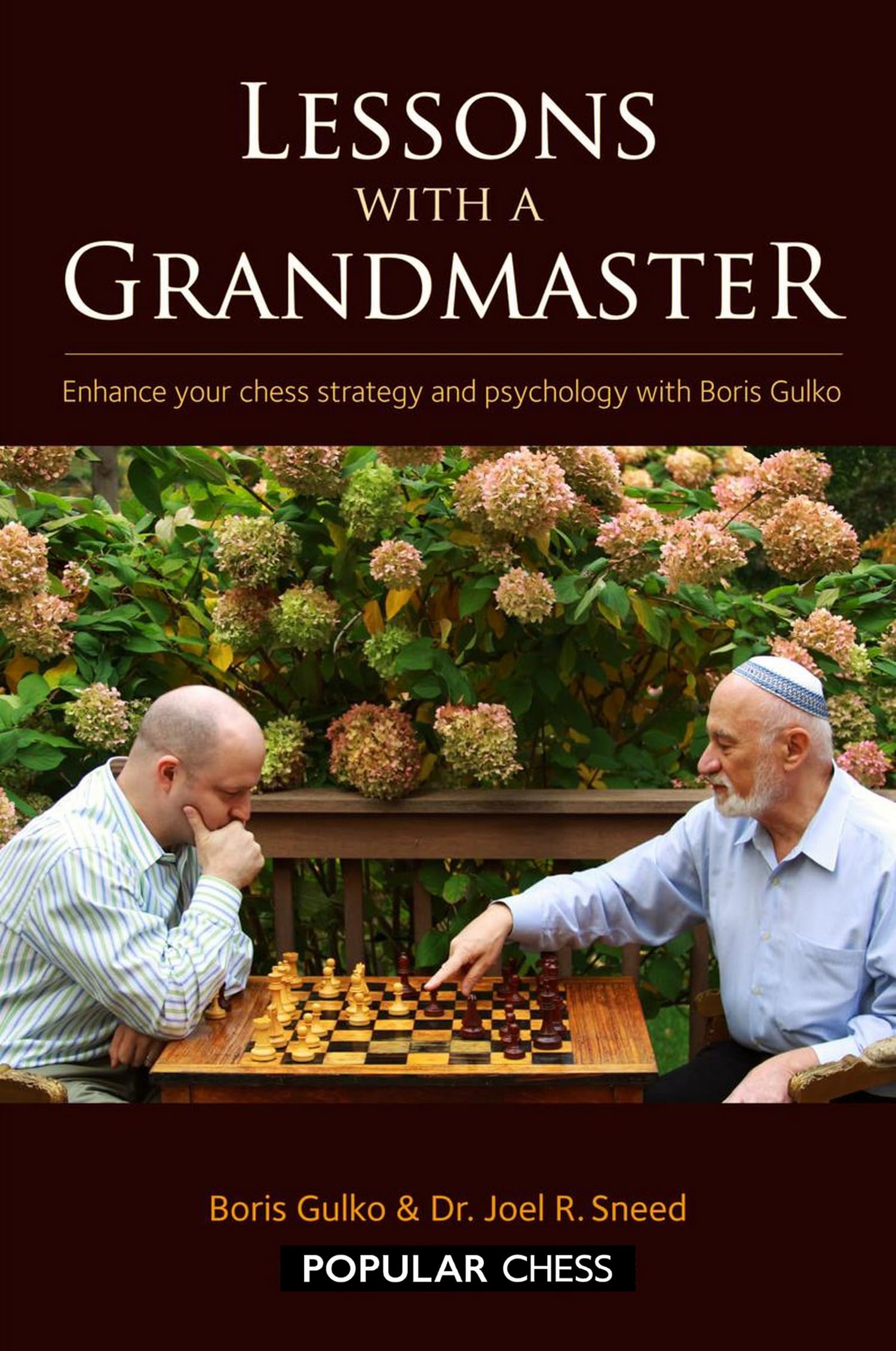 Lessons With a Grandmaster Volume 1: Enhance Your Chess Strategy and ...