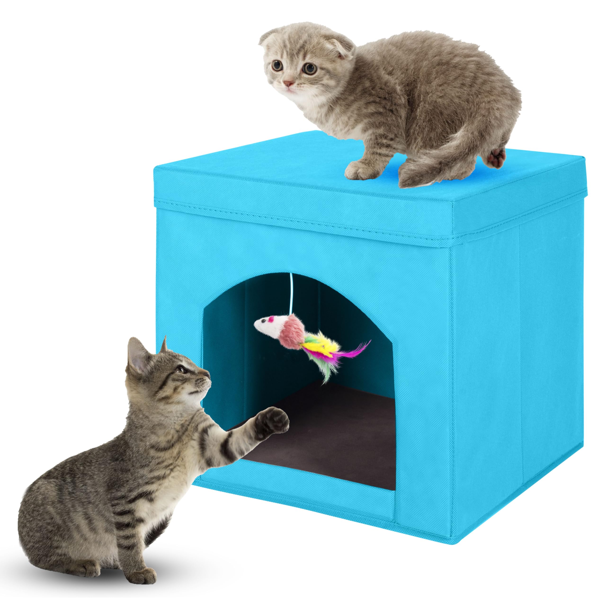 Amazon.com : ShellKingdom Collapsible Cat House, Foldable Kitty Cat ...