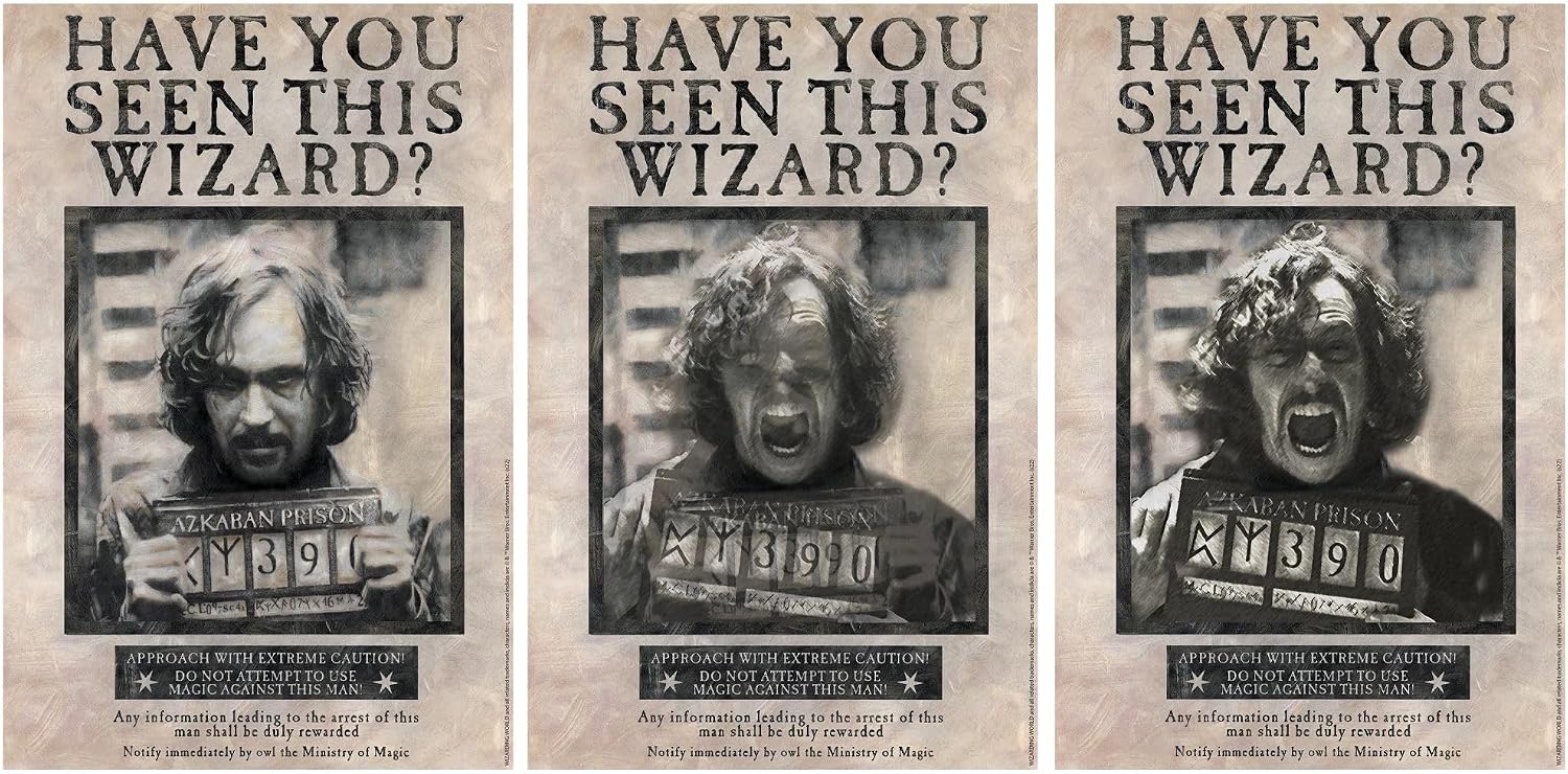 Amazon.com: Amscan Harry Potter Sirius - Póster lenticular negro, 18 x ...