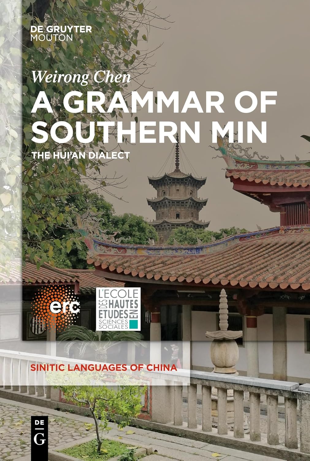 Amazon.com: A Grammar of Southern Min: The Hui’an Dialect (Sinitic ...