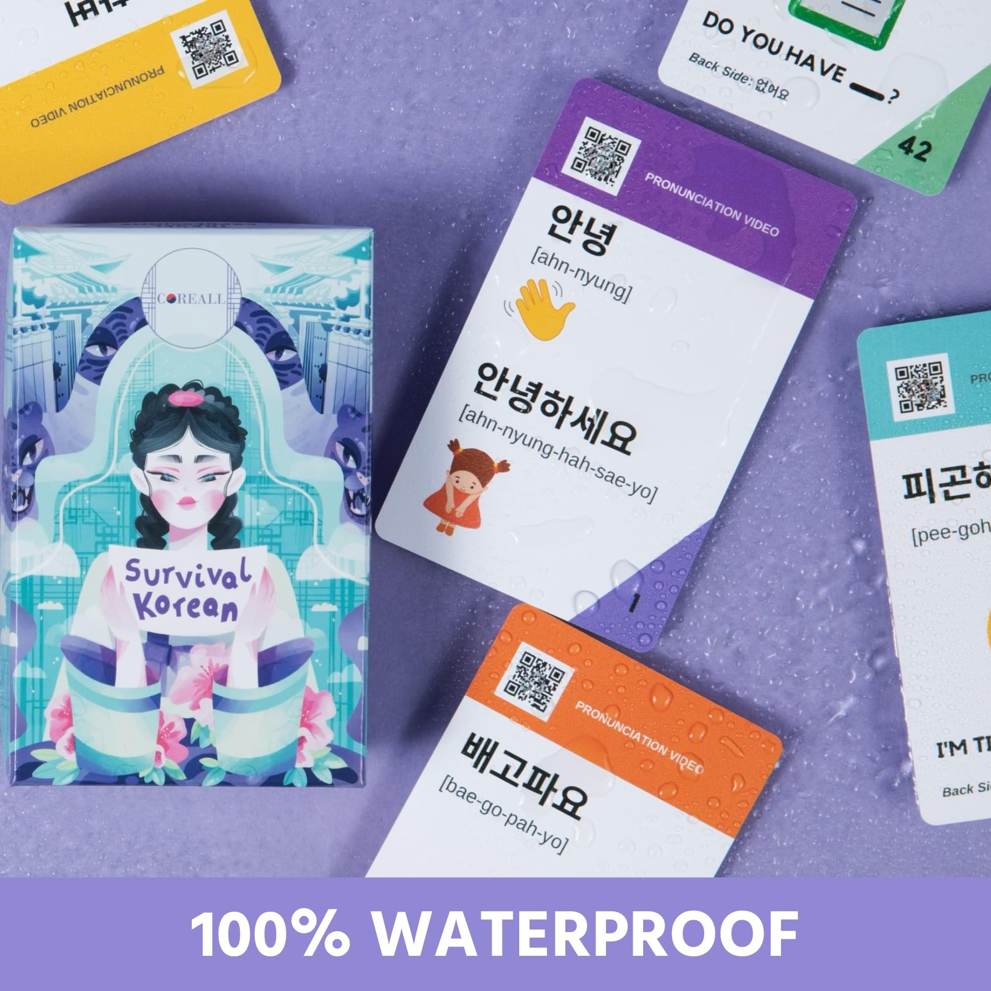 Snapklik.com : Korean Learning Bundle - Alphabet Flash Cards & Travel ...