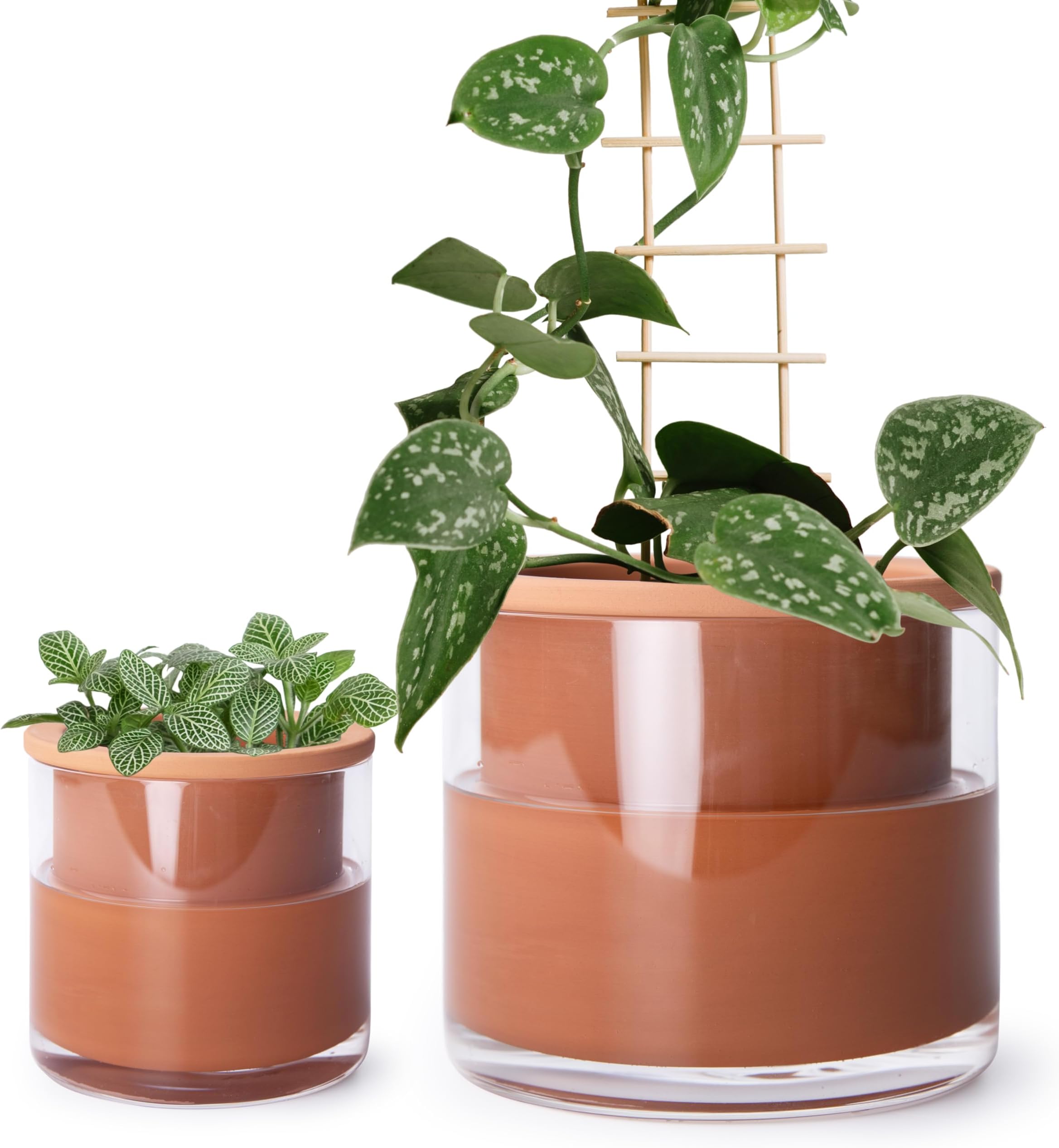Amazon.com : Nuogo 9 Pcs Terracotta Self Watering Pot 4 Inch Self ...