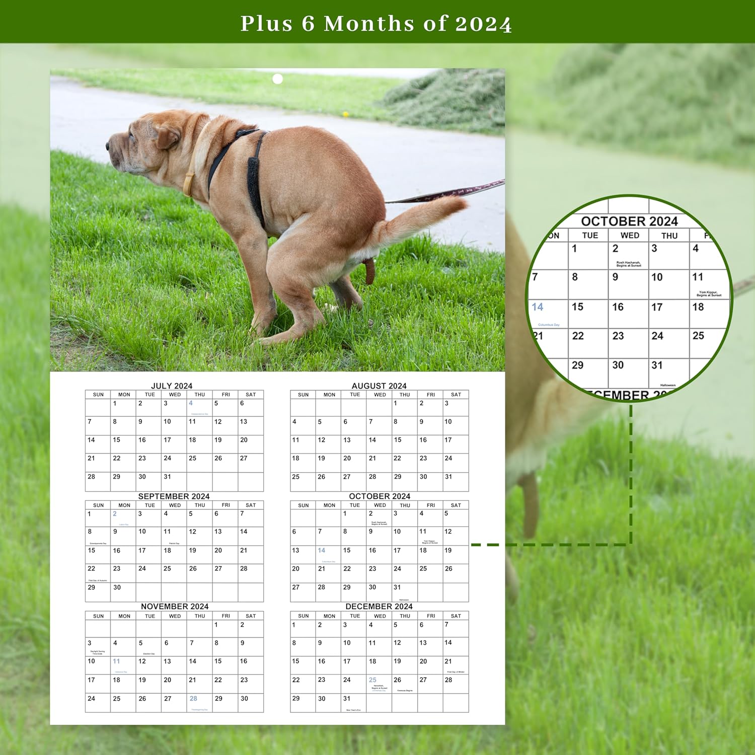 Gag Gifts - Calendar 2025, White Elephant Gifts, Australia | Ubuy