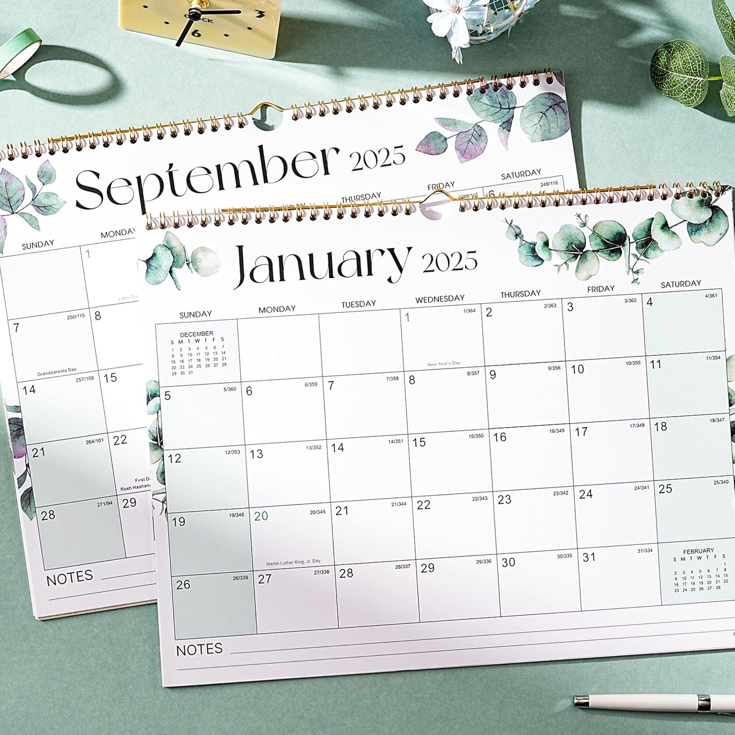 2025 Wall Calendar - 2025 Calendar, 14.8 x 11.4 Botswana | Ubuy
