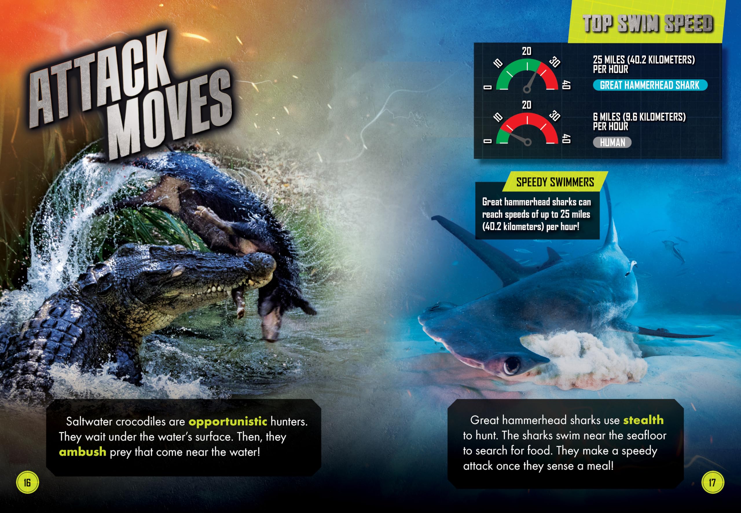 Saltwater Crocodile vs. Great Hammerhead Shark - Animals Battles, High ...