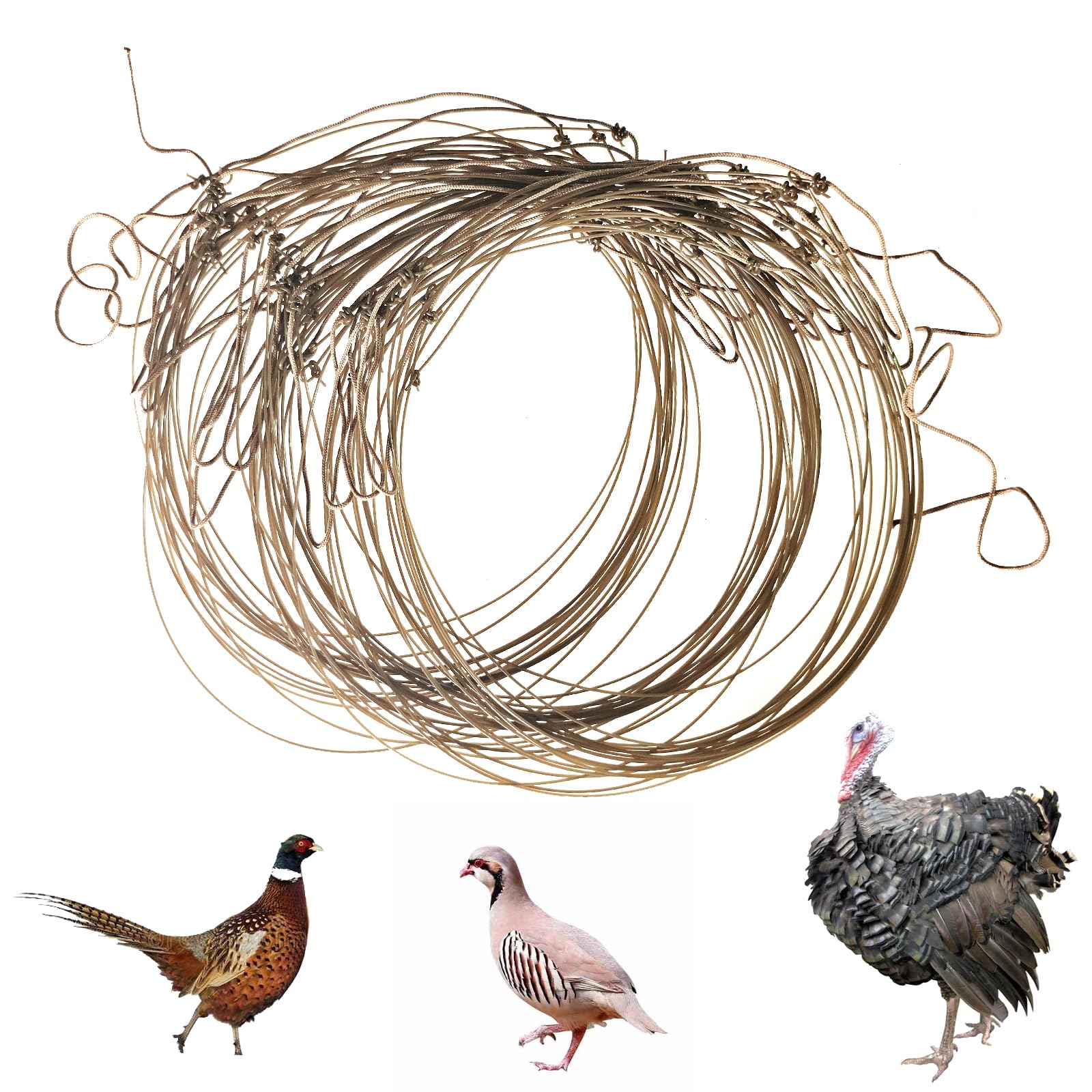 Amazon.com : Medium-to-Large Bird Trap Humane Cage for Catching Live ...