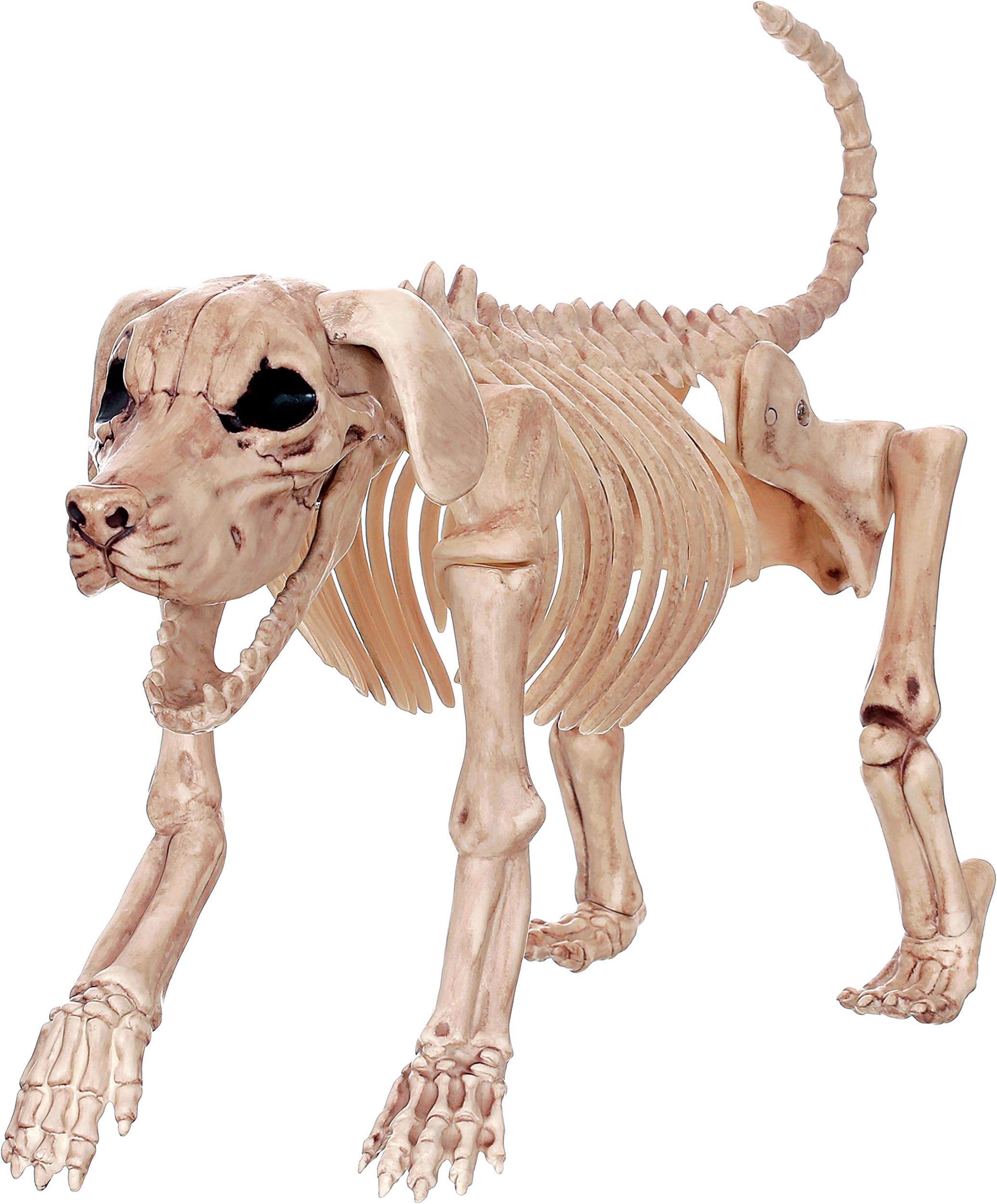 Amazon.com: Crazy Bonez Skeleton Dog - Beagle Bonez : Toys & Games