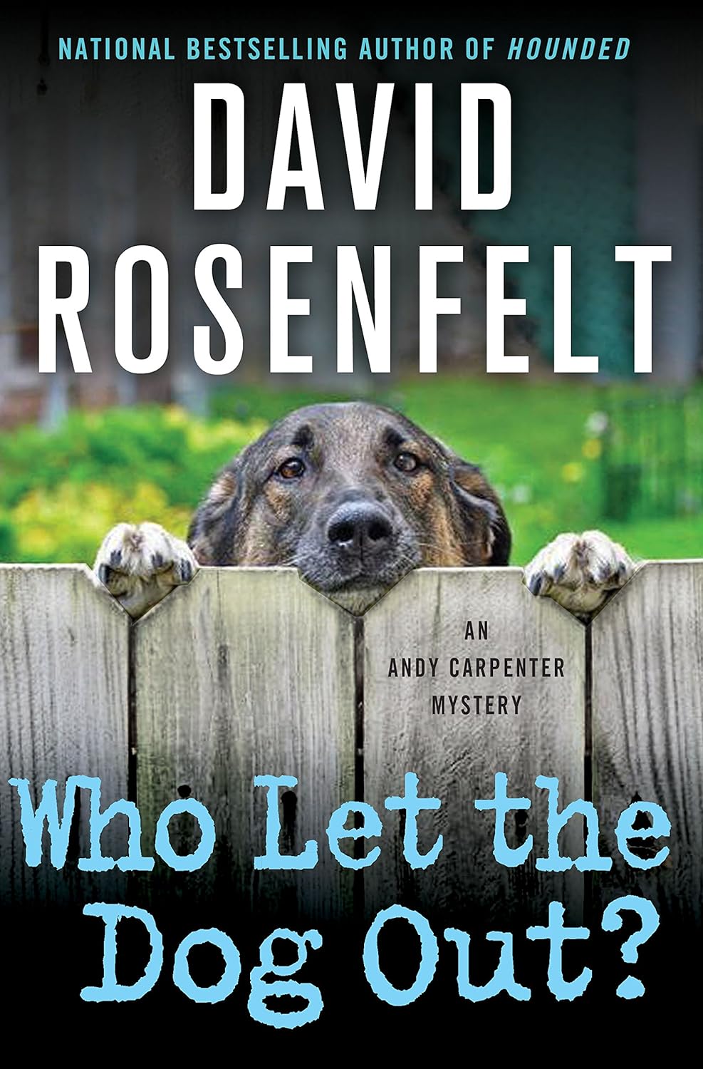 Amazon.com: Who Let the Dog Out?: An Andy Carpenter Mystery eBook ...