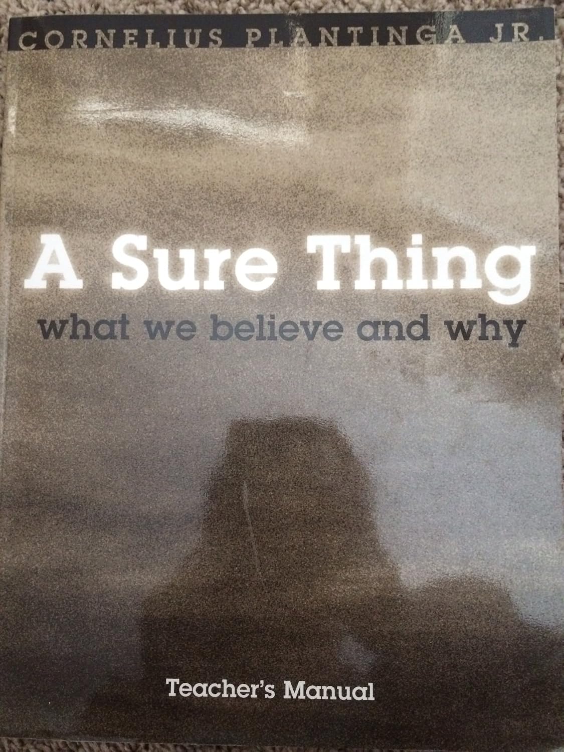 A Sure Thing: What We Believe and Why: Plantinga Jr., Cornelius ...