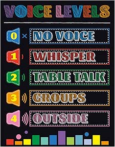 Amazon.com : PAIVSUN Voice Level Chart for Classroom, Noise Levels ...