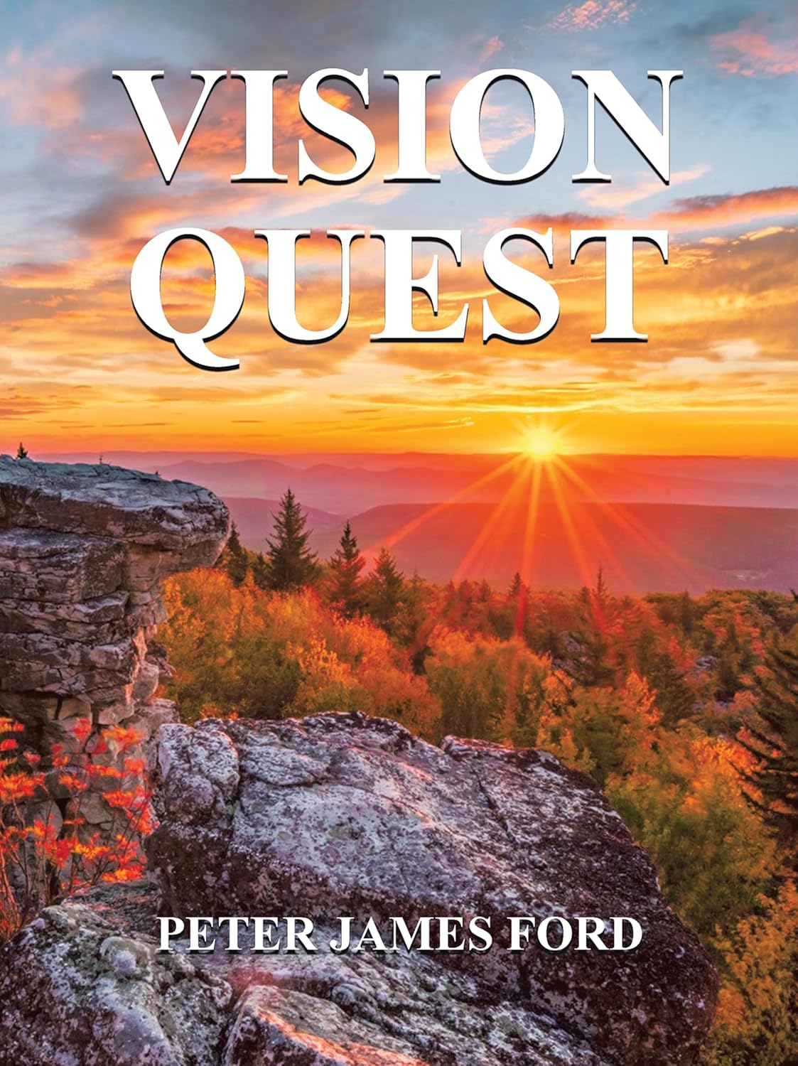Vision Quest - Kindle edition by Ford, Peter James. Religion ...