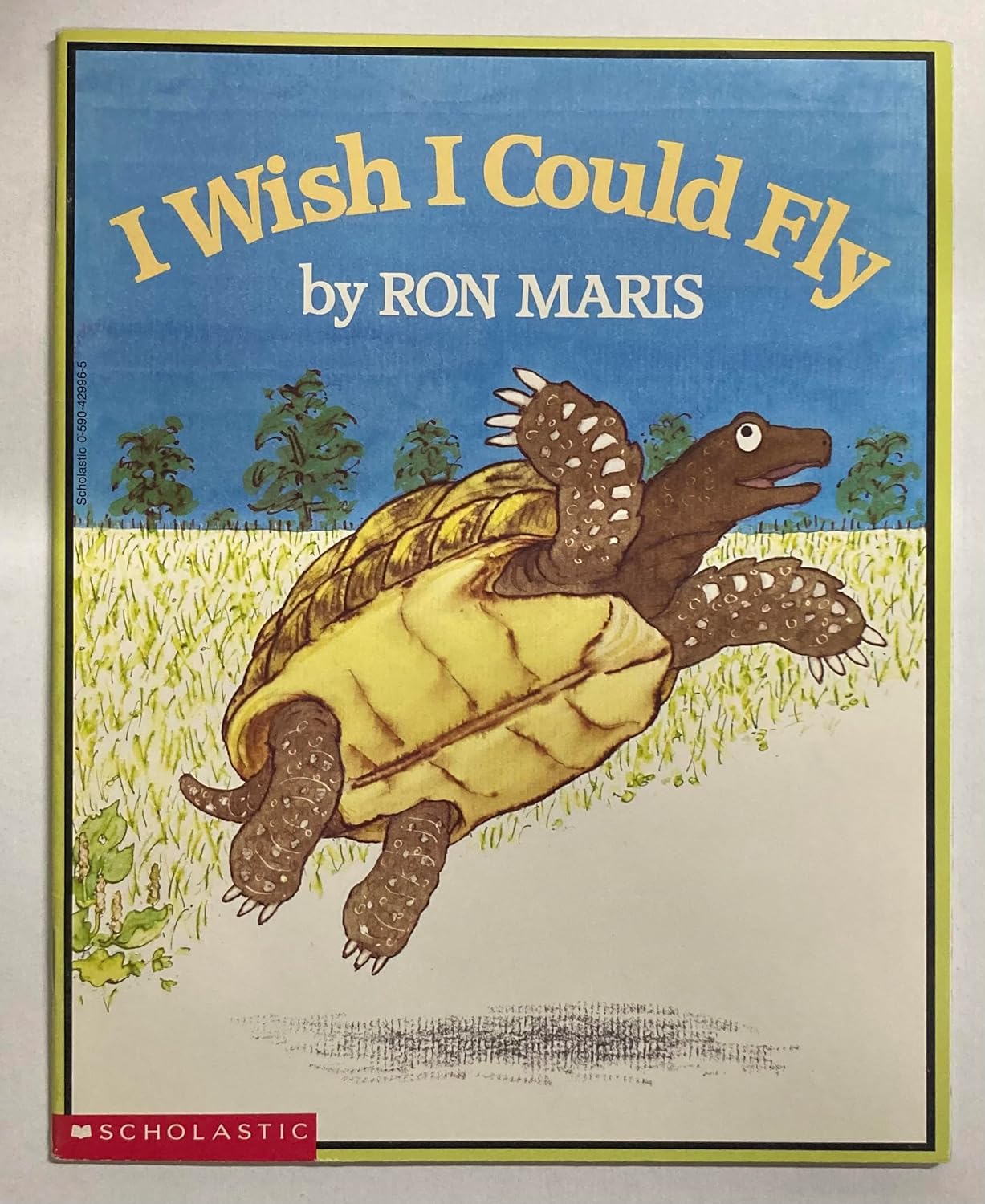 Title: i wish i could fly : Maris, Ron: Amazon.in: Books