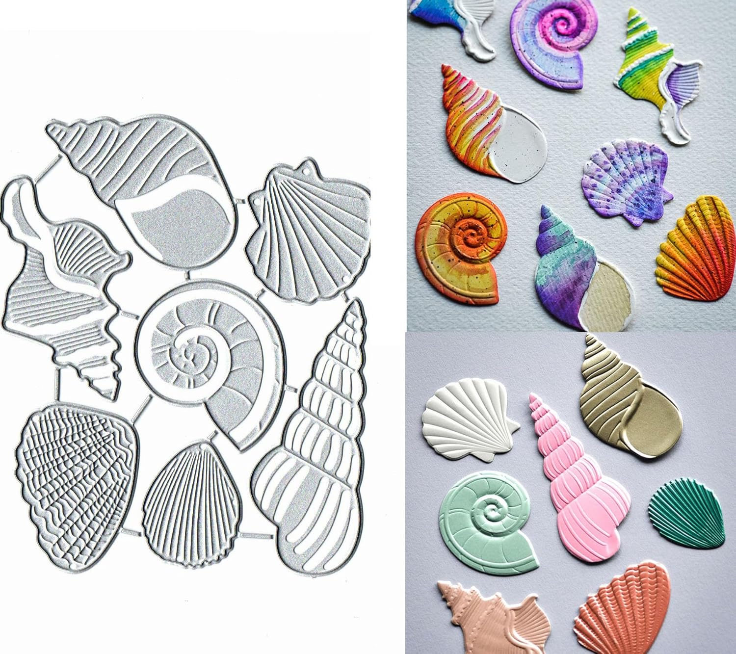Amazon.com: Shell Conch Metal Die Cuts,Sea Shell Conch Cutting Dies Cut ...