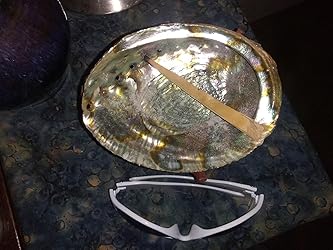 Amazon.com: Premium Abalone Shell with Natural Wooden Tripod Stand and ...