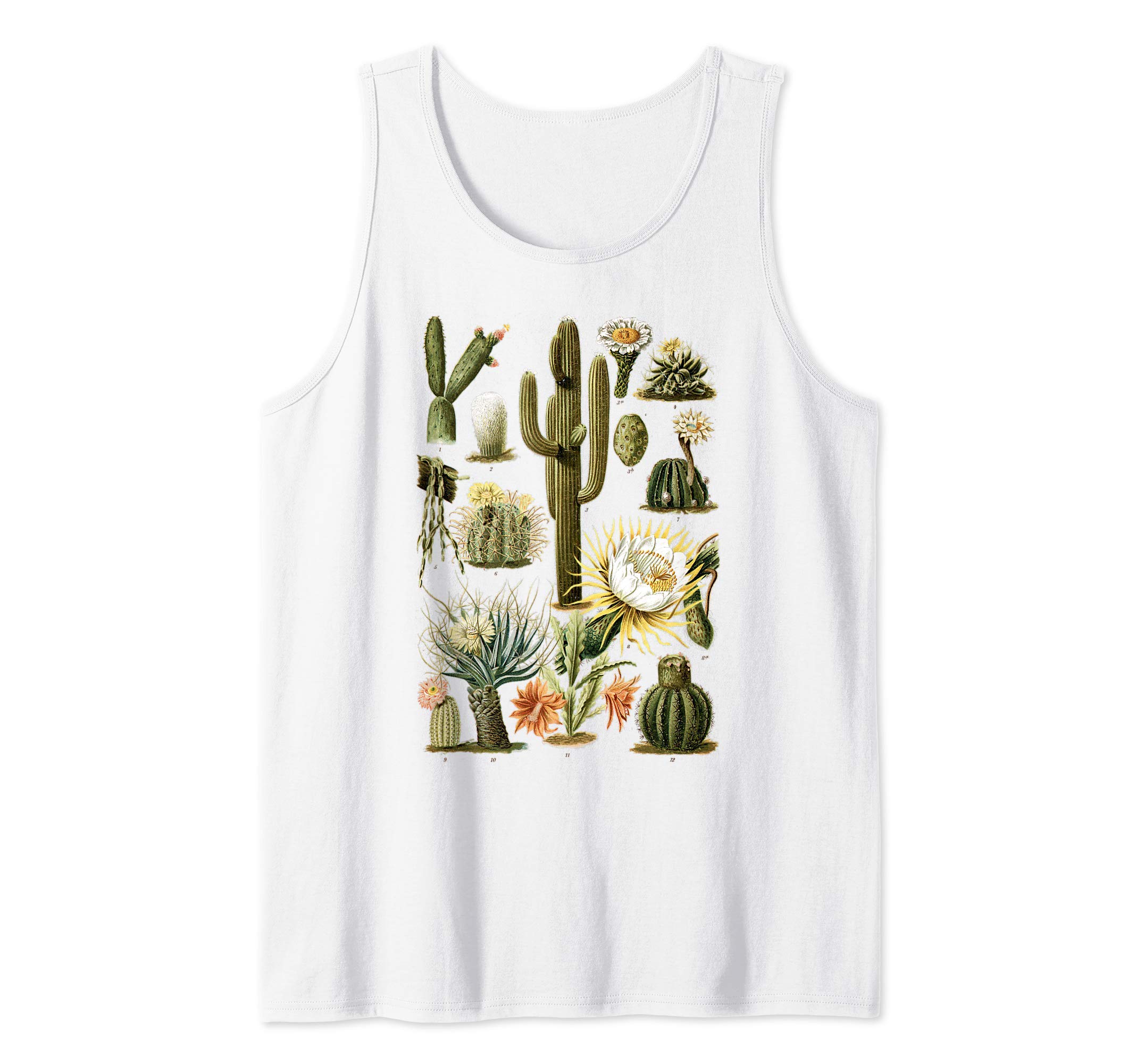 Amazon.com: Cactus Succulent Plant Retro Vintage Cacti Botany Botanical ...
