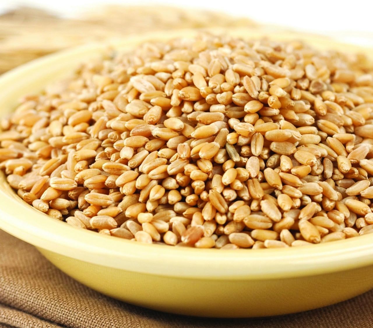 Amazon.com : Wheat Montana Prairie Gold Hard White Spring Wheat Berries ...