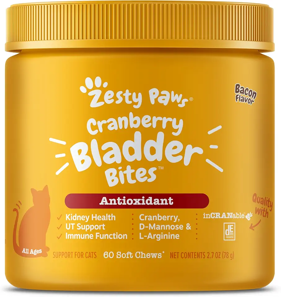 Understanding The Importance Of Urinary Acidifiers For Cats | PetShun