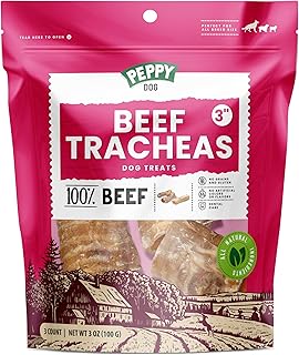 Understanding The Function Of The Trachea: How Does It Contribute To ...