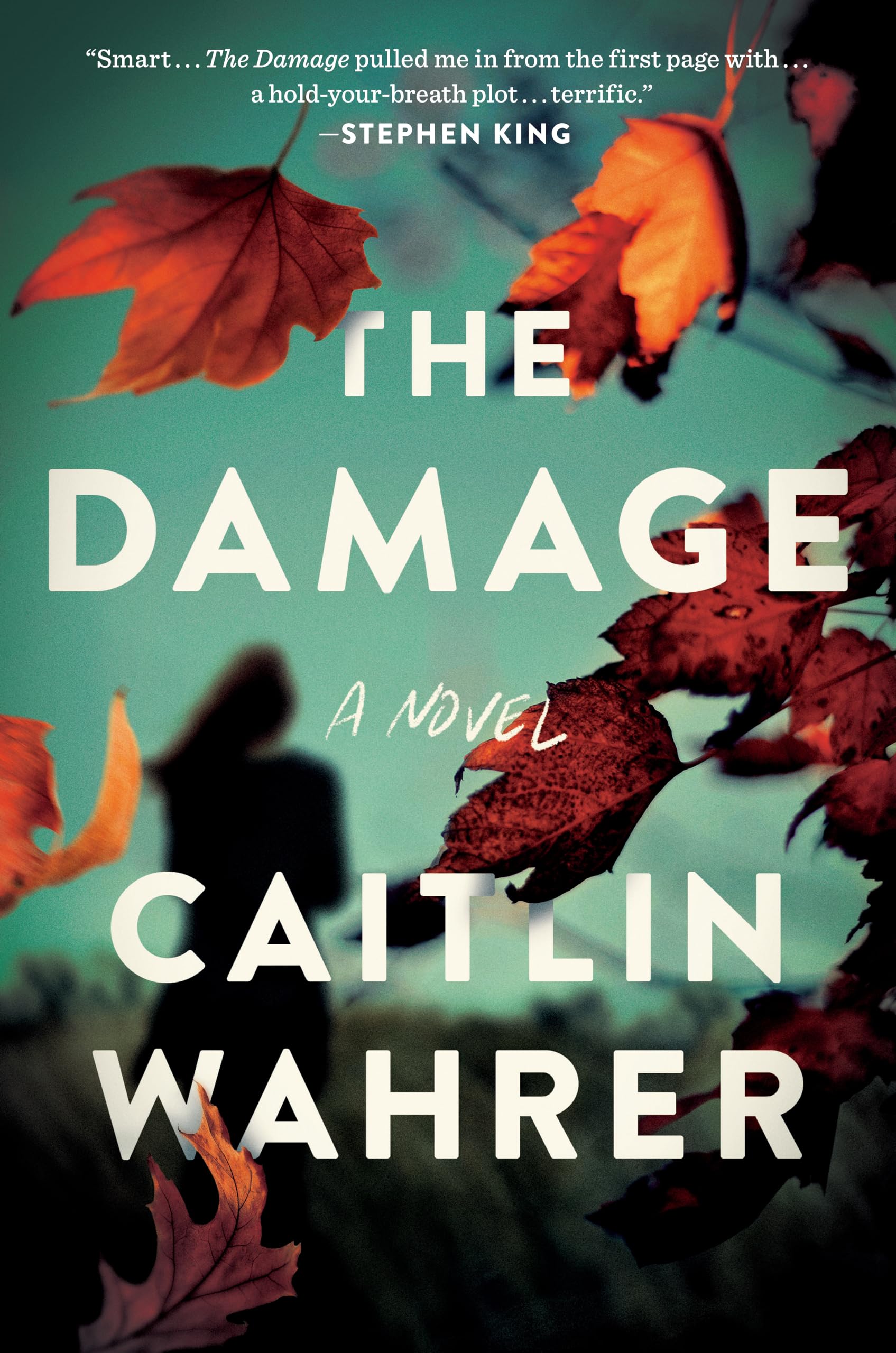The Damage: A Novel: Wahrer, Caitlin: 9780593296134: Amazon.com: Books