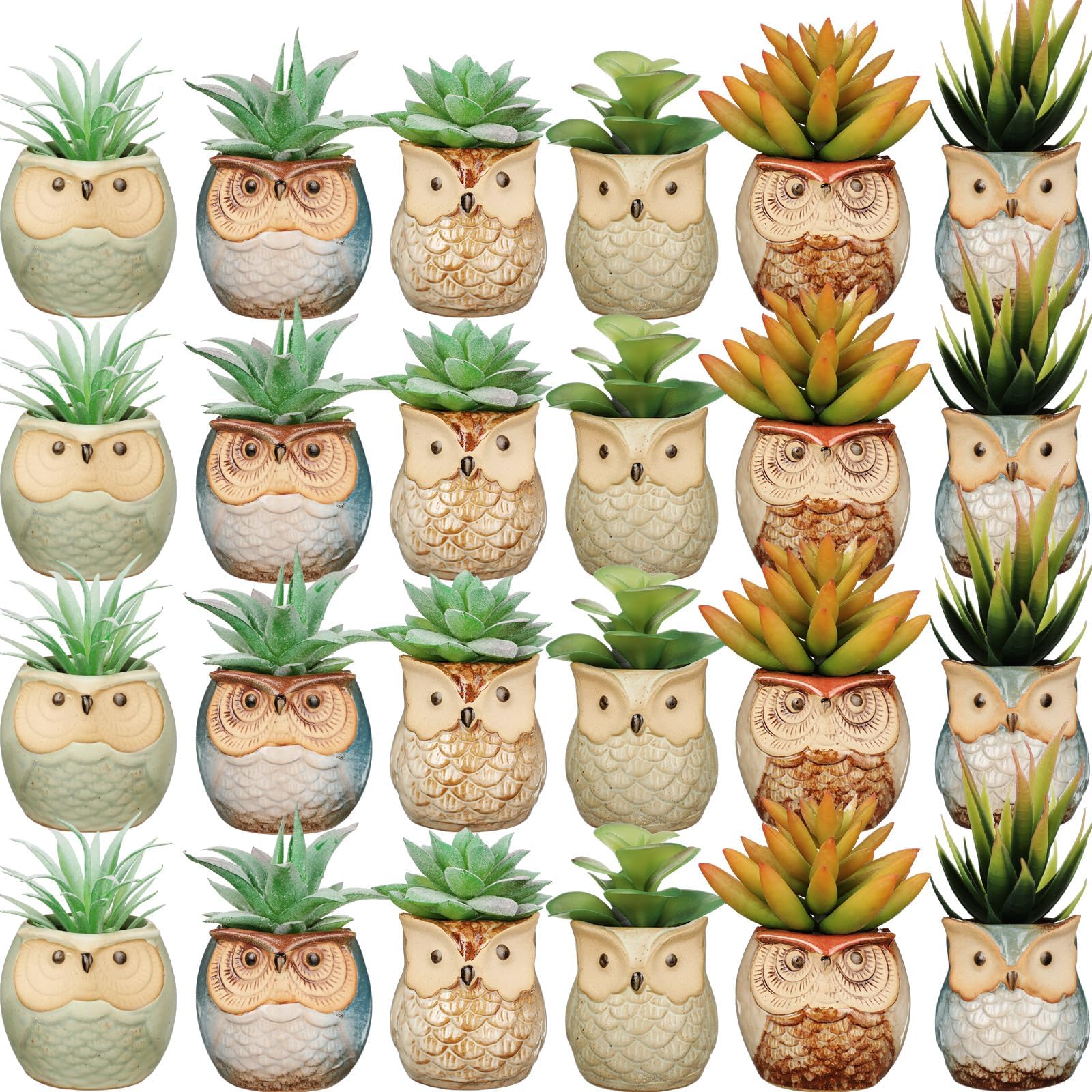 Amazon.com: Nitial 24 Pack Owl Succulent Plant Pots Mini Owl Pot with ...