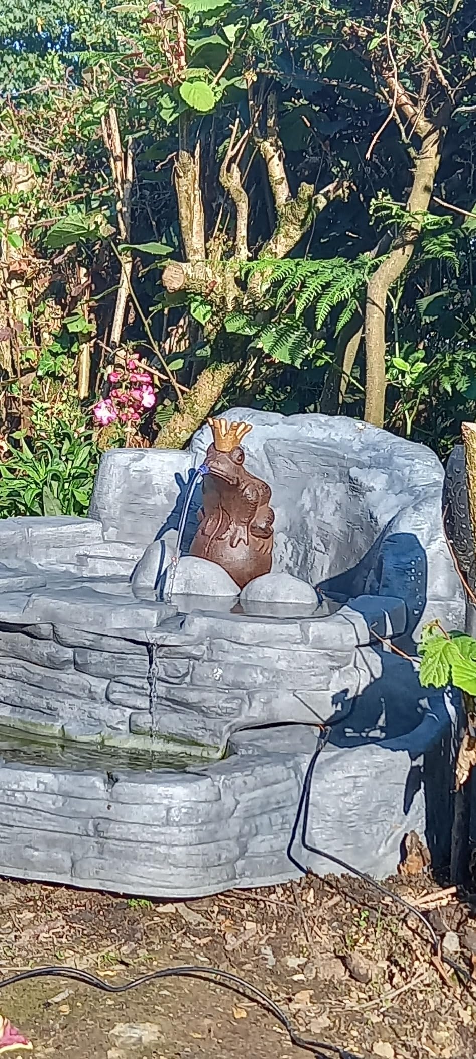 Frog King Water Feature, 22 cm, Includes Pump, Metal Garden Sculpture ...