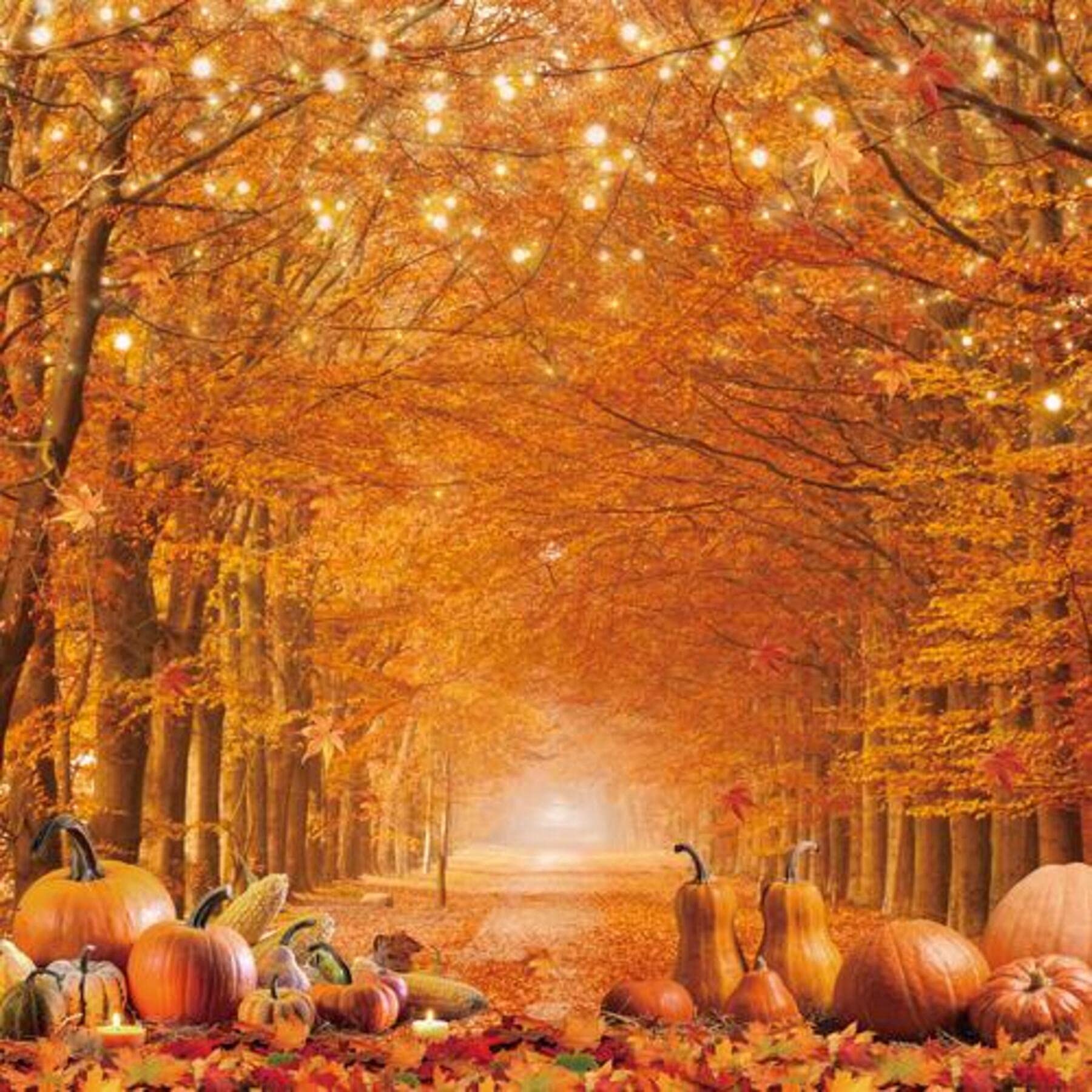 Fall Pumpkin Background