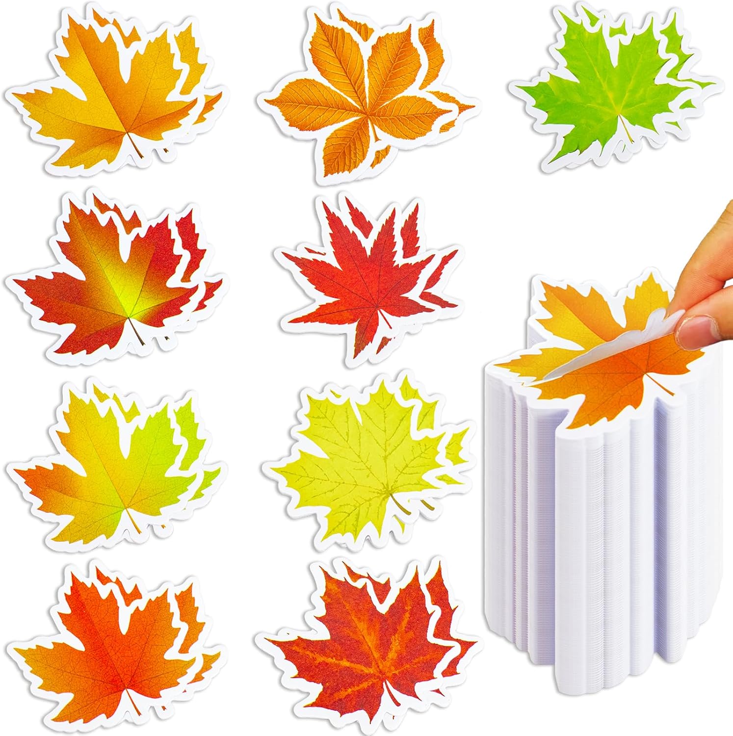 Amazon.com : 45 Pads 900 Sheets Fall Maple Leaves Sticky Notes Autumn ...