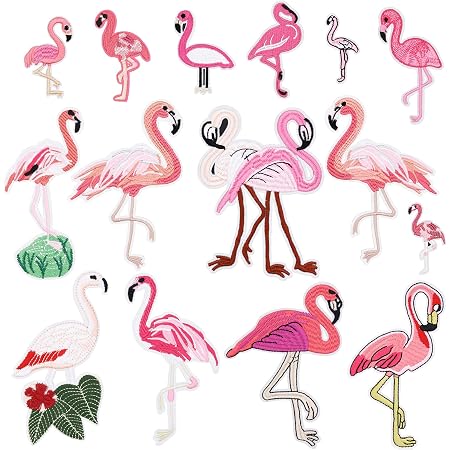 Amazon.com: Flamingo - Tropical Bird - Facing Left - Ocean ...