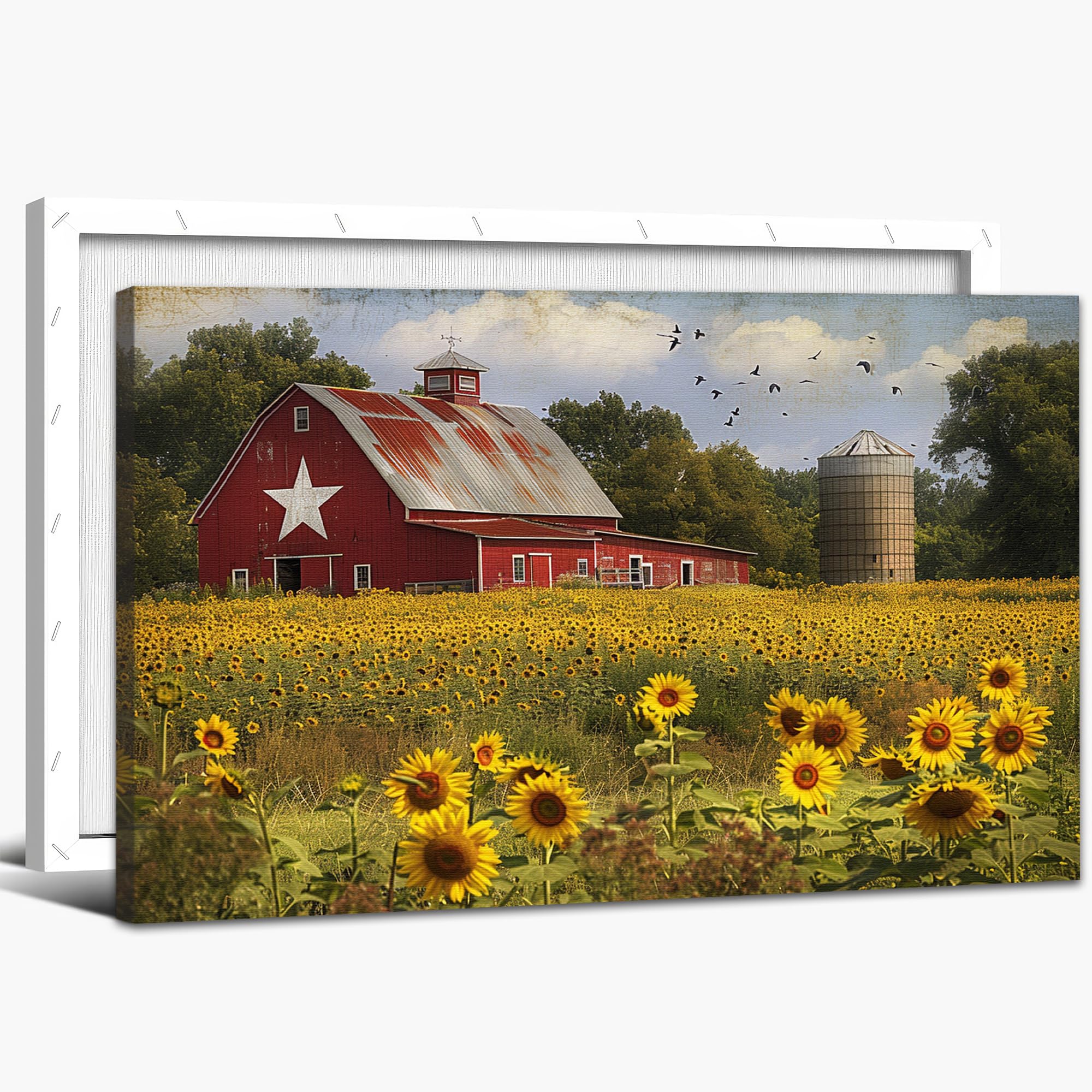 Amazon.com: Farmhouse Canvas Wall Art, Old Barn Prints Posters ...