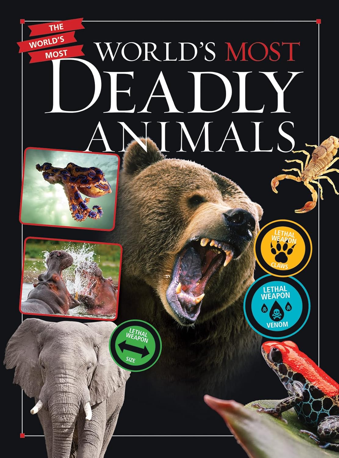 World s Most Deadly Animals The World s Most Mcghee Karen world-s-most-deadly-animals-the-world-s-most-mcghee-karen