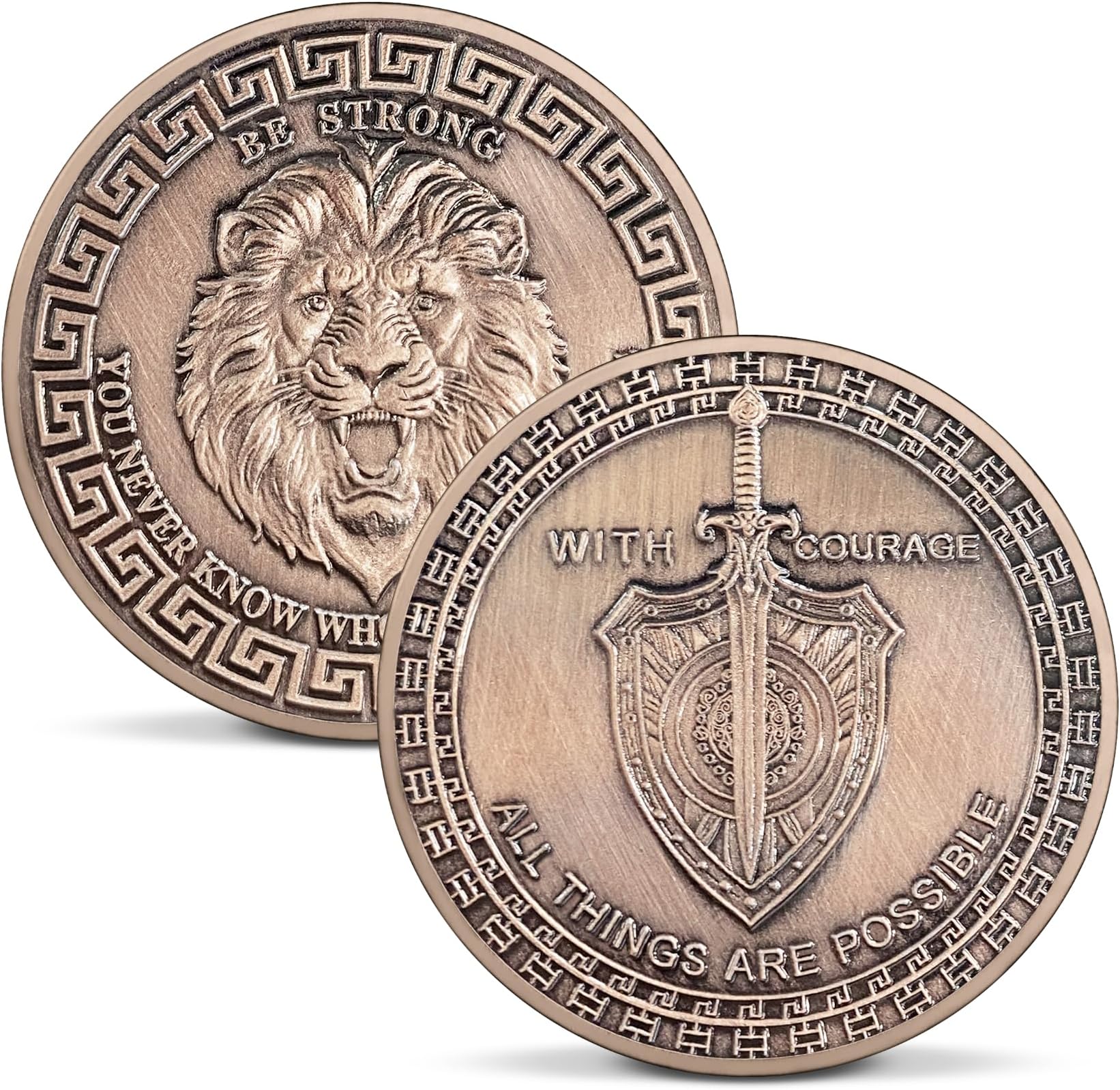Amazon.com : Inspirational Lion of Courage Christian Challenge Coin ...