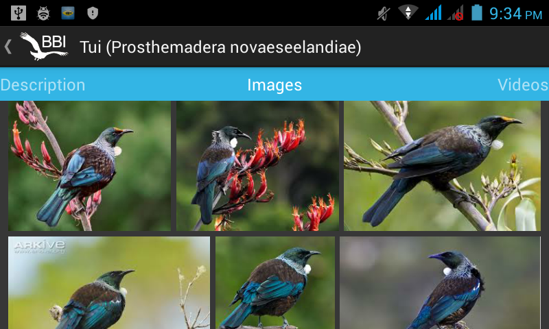 World Bird Guide - App on Amazon Appstore