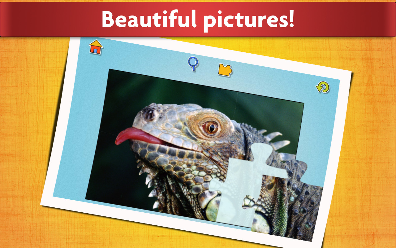 Wild Animal Puzzles for Kids and Adults - Fun, Relaxing and Educational ...