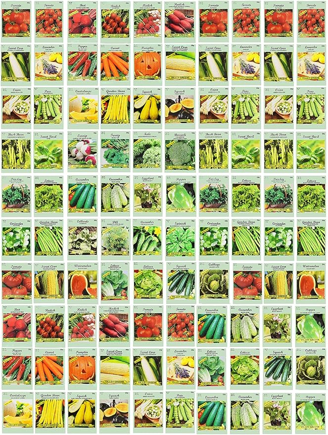 Amazon.com : 100 Assorted Heirloom Vegetable Seeds 100% Non-GMO (100 ...