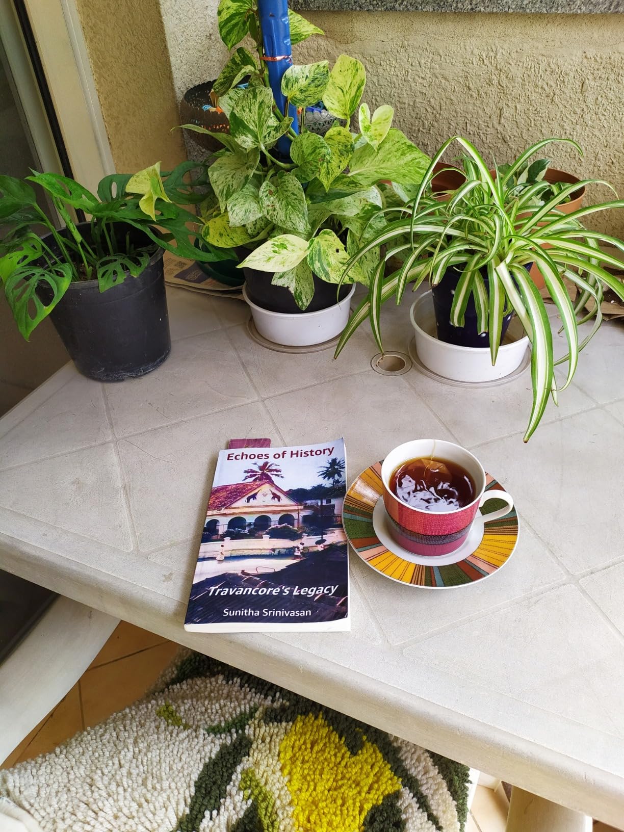 Echoes of History: Travancore’s Legacy : Sunitha Srinivasan: Amazon.in ...