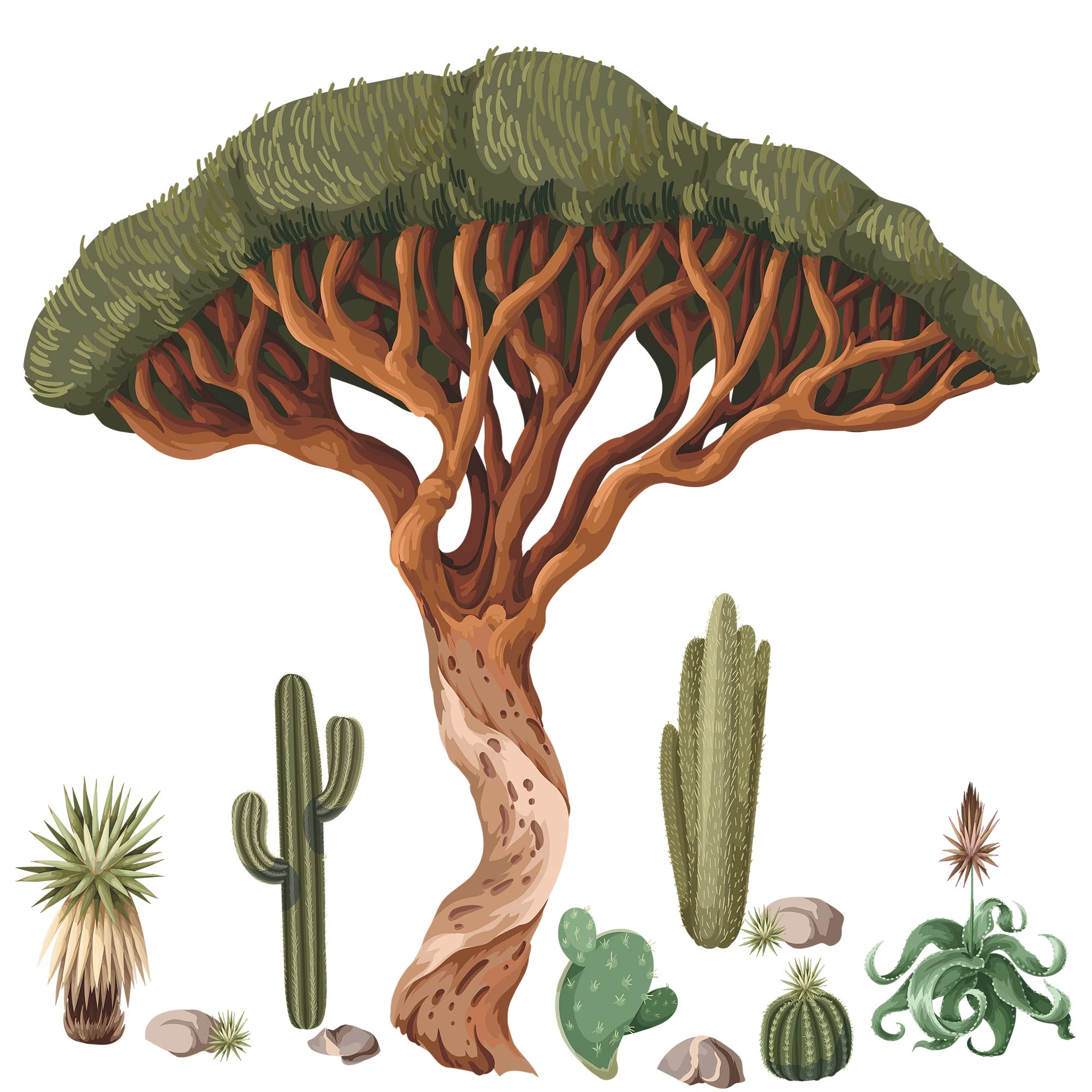 Tropical Rainforest Tree Drawing