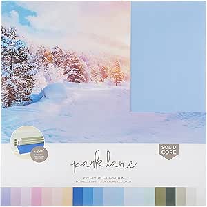 Park Lane Cardstock 12x12 Variety Pack, 60 Sheets | 80lb Premium ...