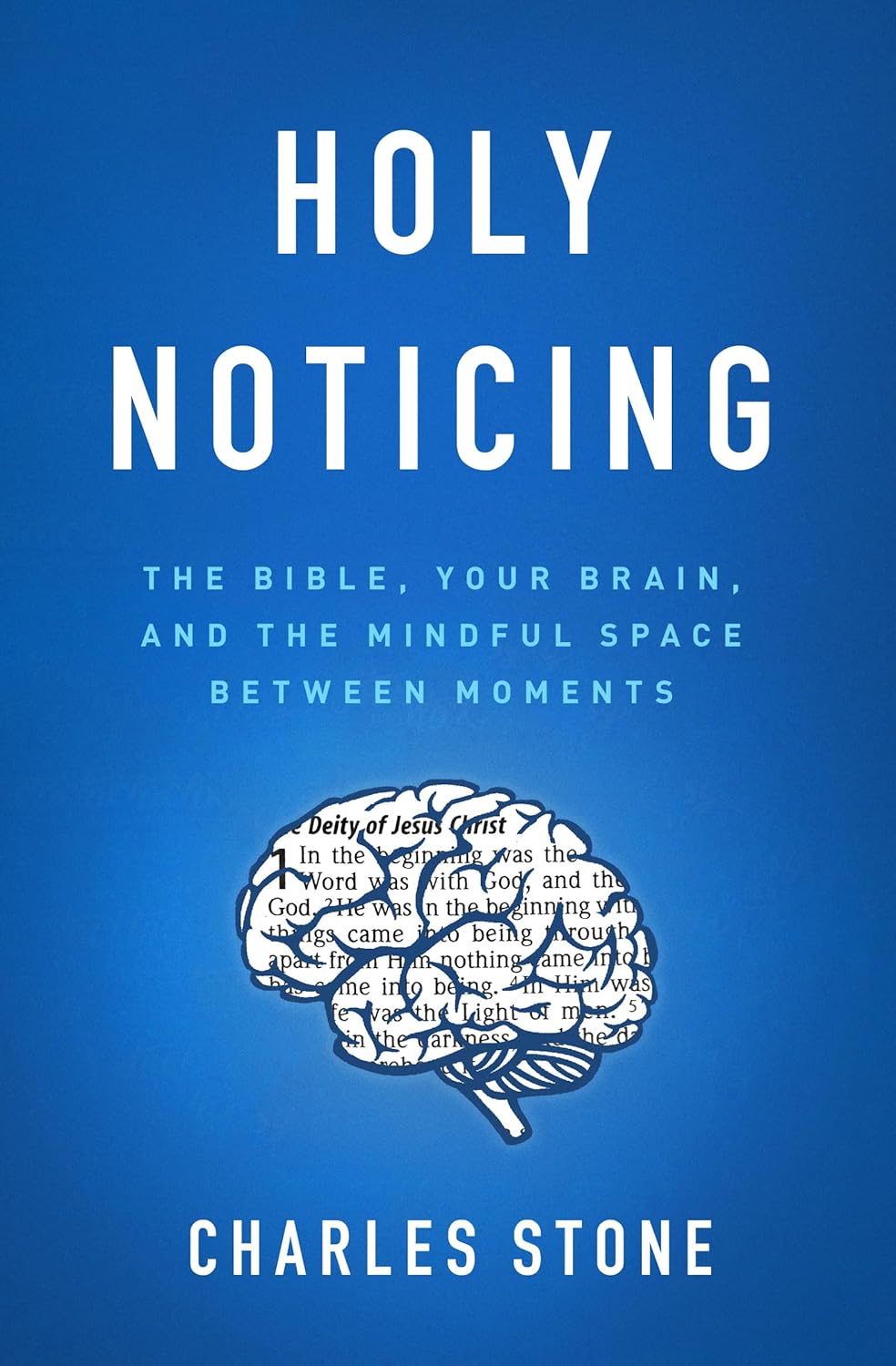 Holy Noticing: The Bible, Your Brain, and the Mindful Space Between ...