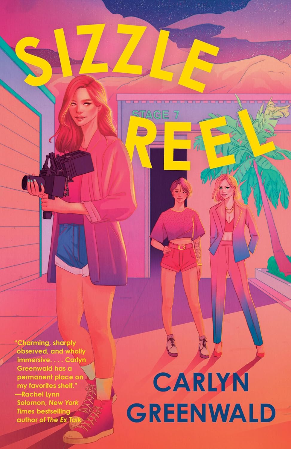 Sizzle Reel: A Novel: Greenwald, Carlyn: 9780593468197: Amazon.com: Books