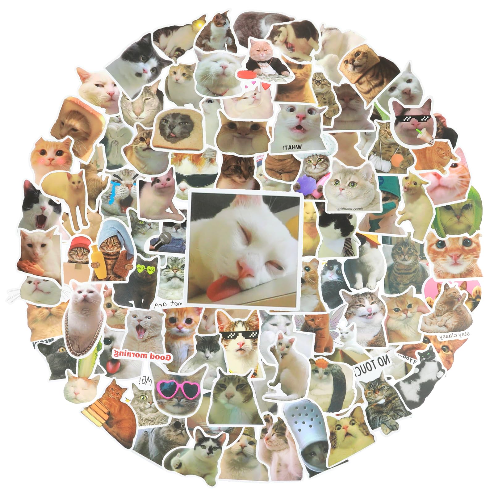 Amaxiu Funny Vinyl Cat Stickers, 100 Pcs Cute Cat Decals Waterproof ...