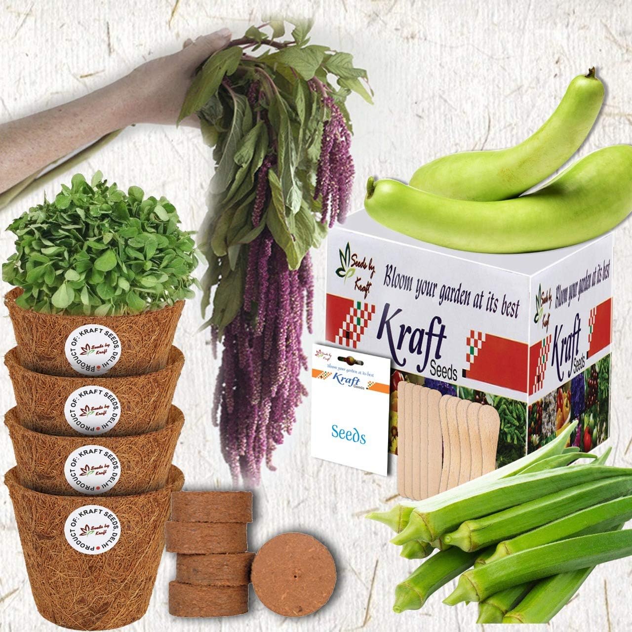 Amazon.com : Kraft Seeds Vegetable Garden Starter Kit Non GMO Heirloom ...