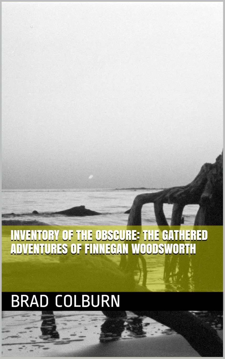 Inventory of the Obscure: The Gathered Adventures of Finnegan ...