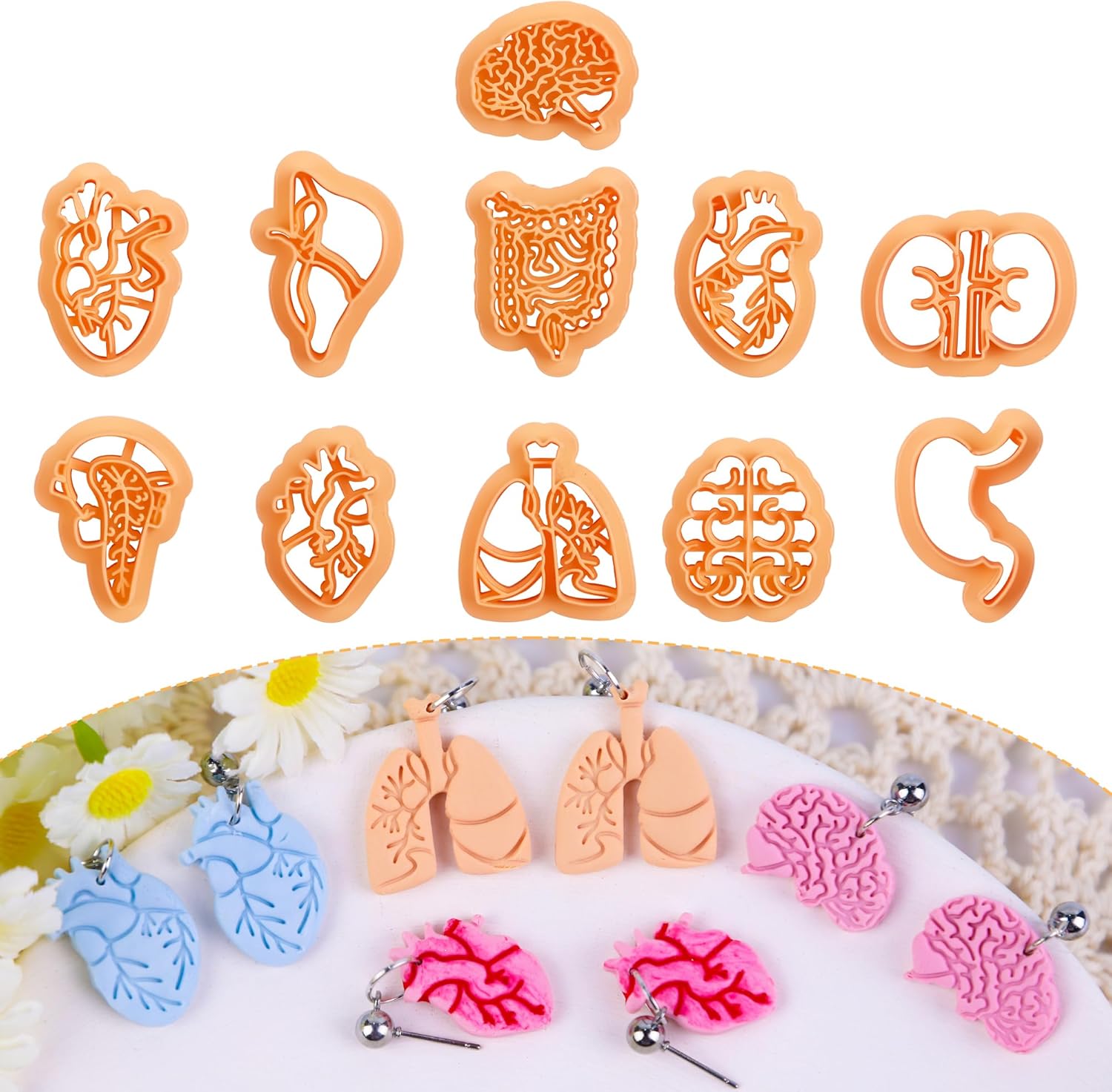 Amazon.com: Puocaon Human Organ Clay Cutters - 11 Pcs Clay Cutters for ...