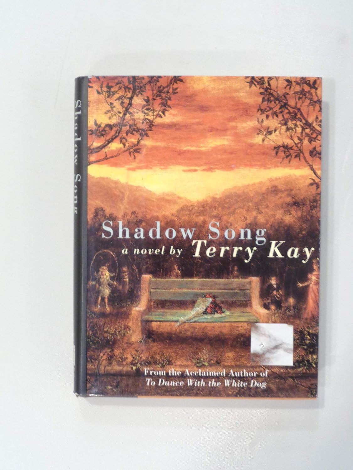 Shadow Song: Terry Kay: Amazon.com: Books